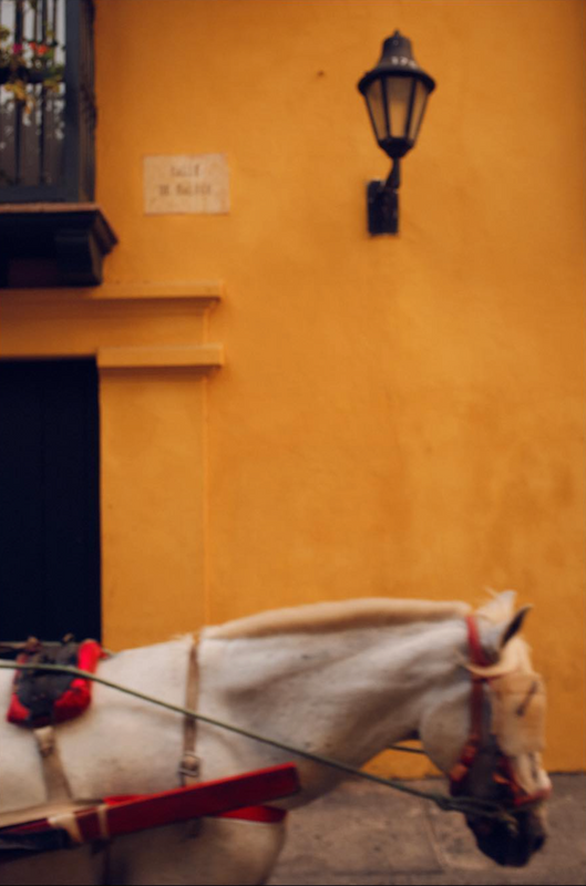 Wondering People — Barney Curran | Available Works