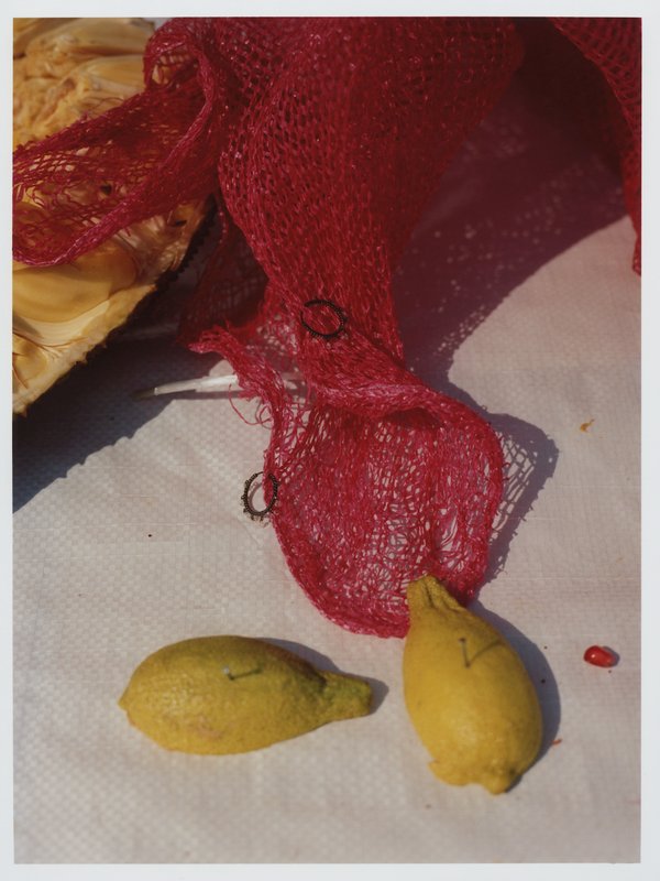 Wondering People — Tutti Frutti