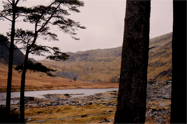 Wondering People — Barney Curran